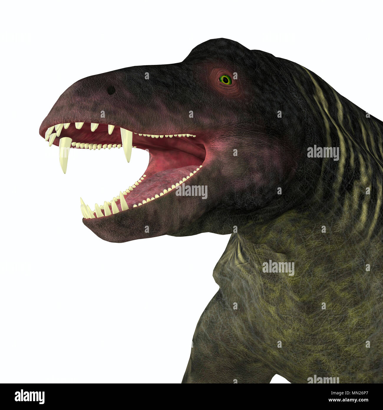 Sharp incisors teeth hi-res stock photography and images - Alamy