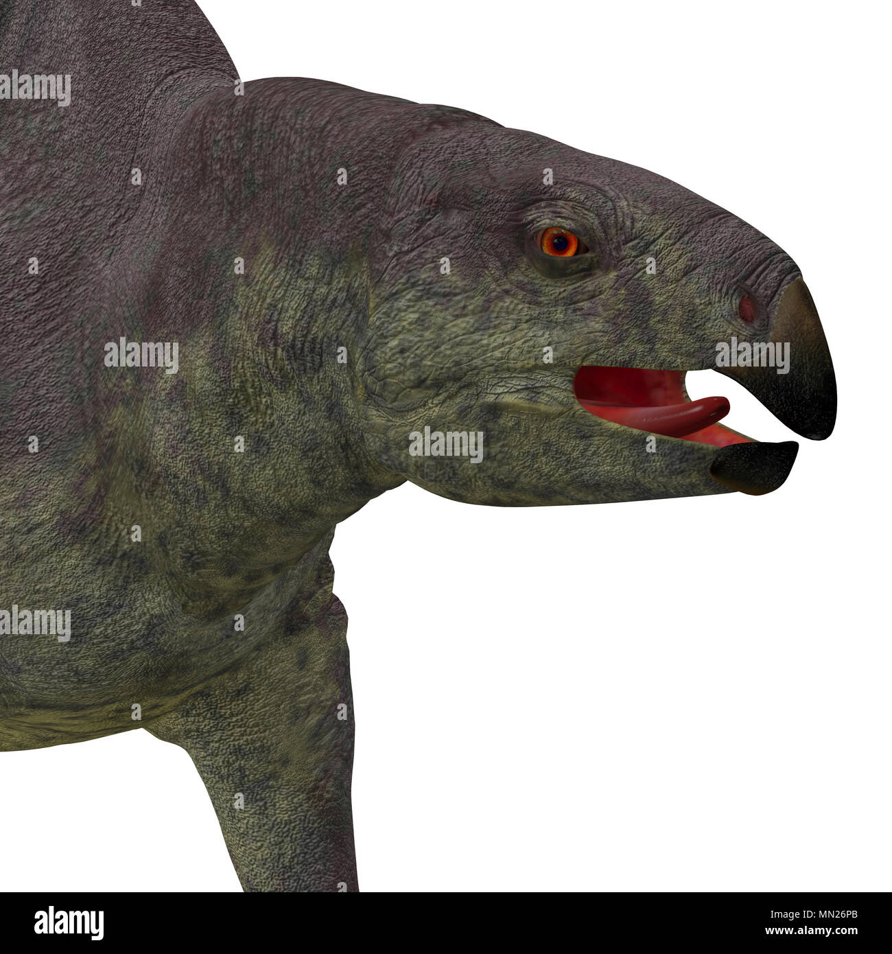 Poposauroidea hi-res stock photography and images - Alamy