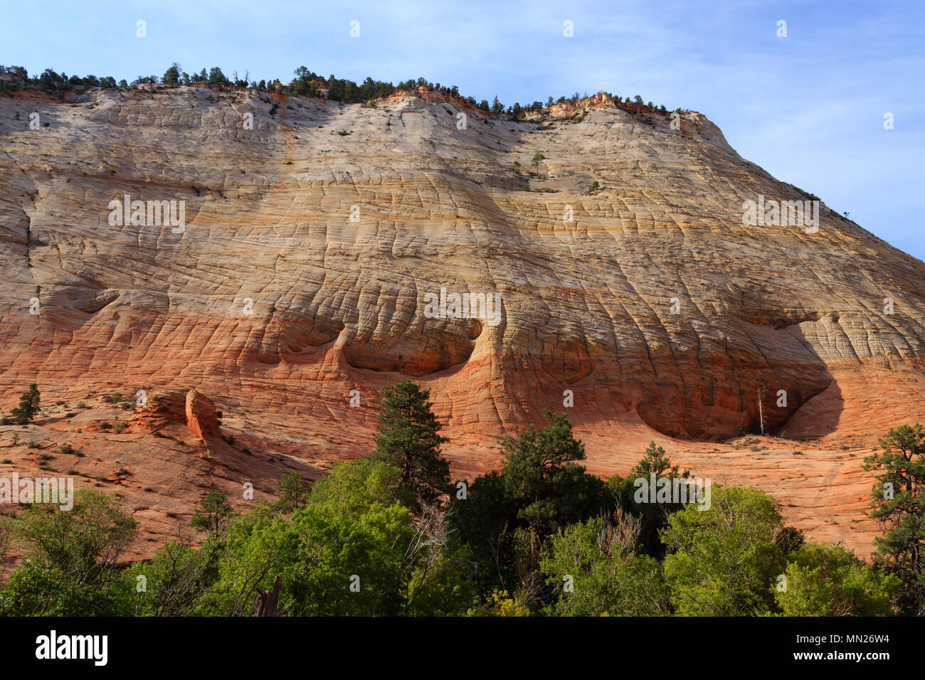 Panorama from Zion National Park, Utah USA. Geological formations ...