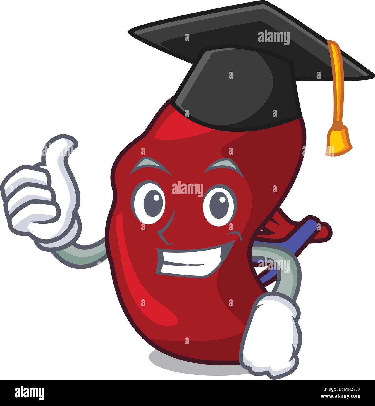 Cute human spleen cartoon Stock Vector Images - Alamy