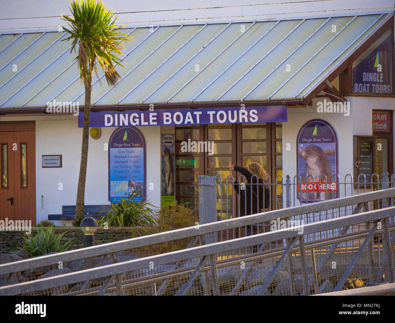 Dingle boat tours hi-res stock photography and images - Alamy