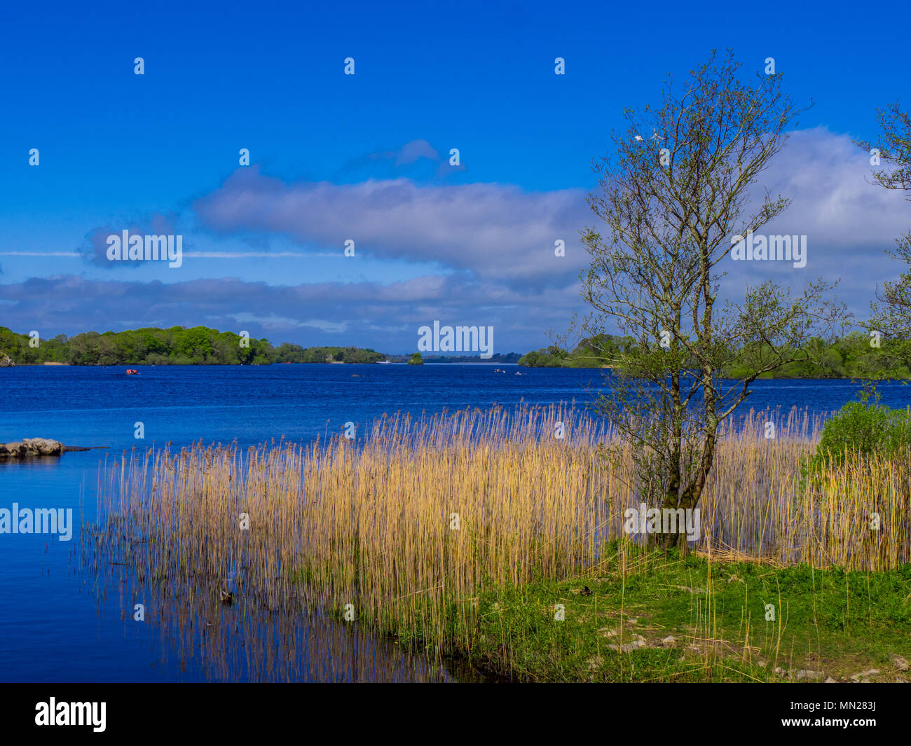 Awesome nature and blue water at Killarney National Park in Dingle ...