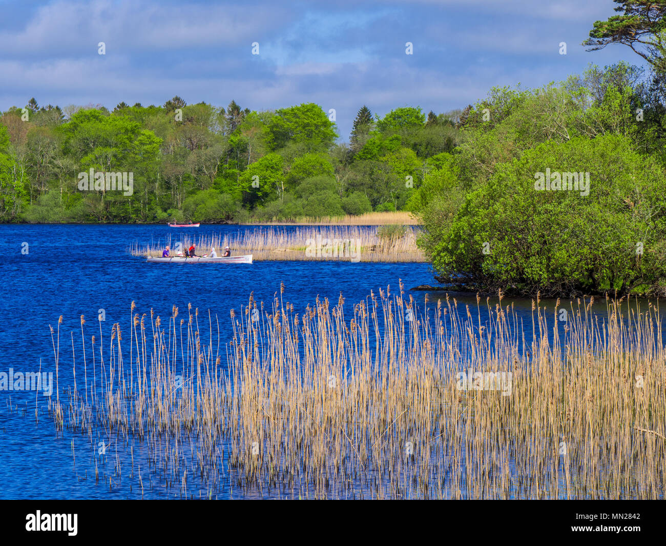 Killarney beach hi-res stock photography and images - Alamy