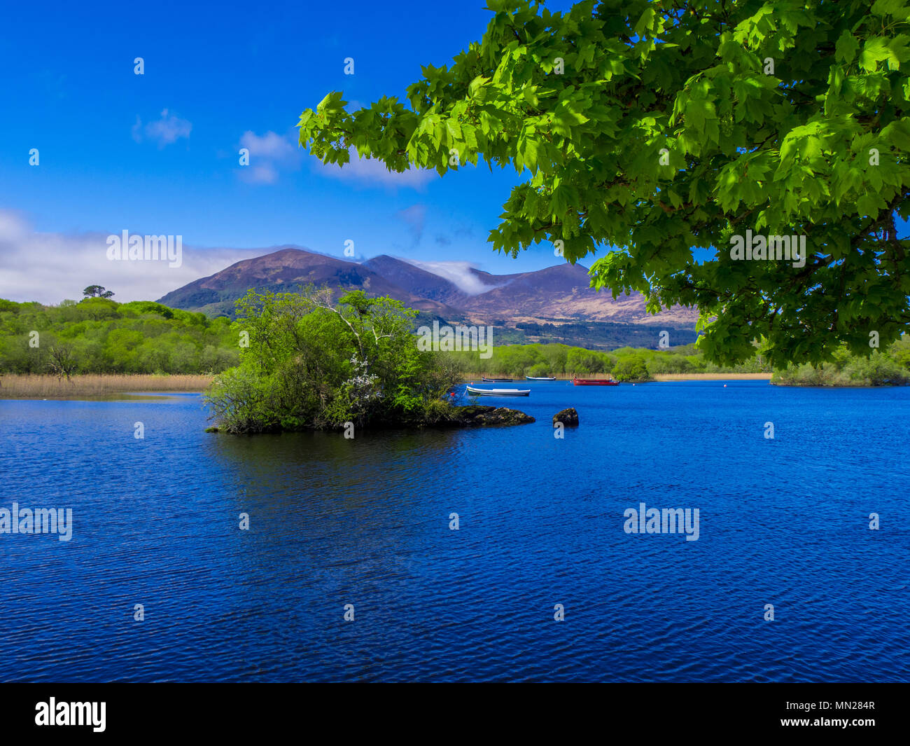 Beach killarney national park hi-res stock photography and images - Alamy