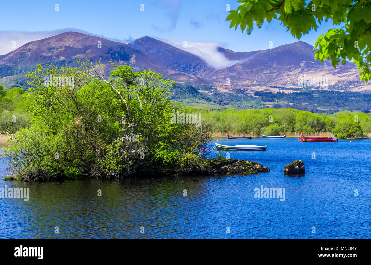 Idyllic lake at Killarney National Park Stock Photo - Alamy