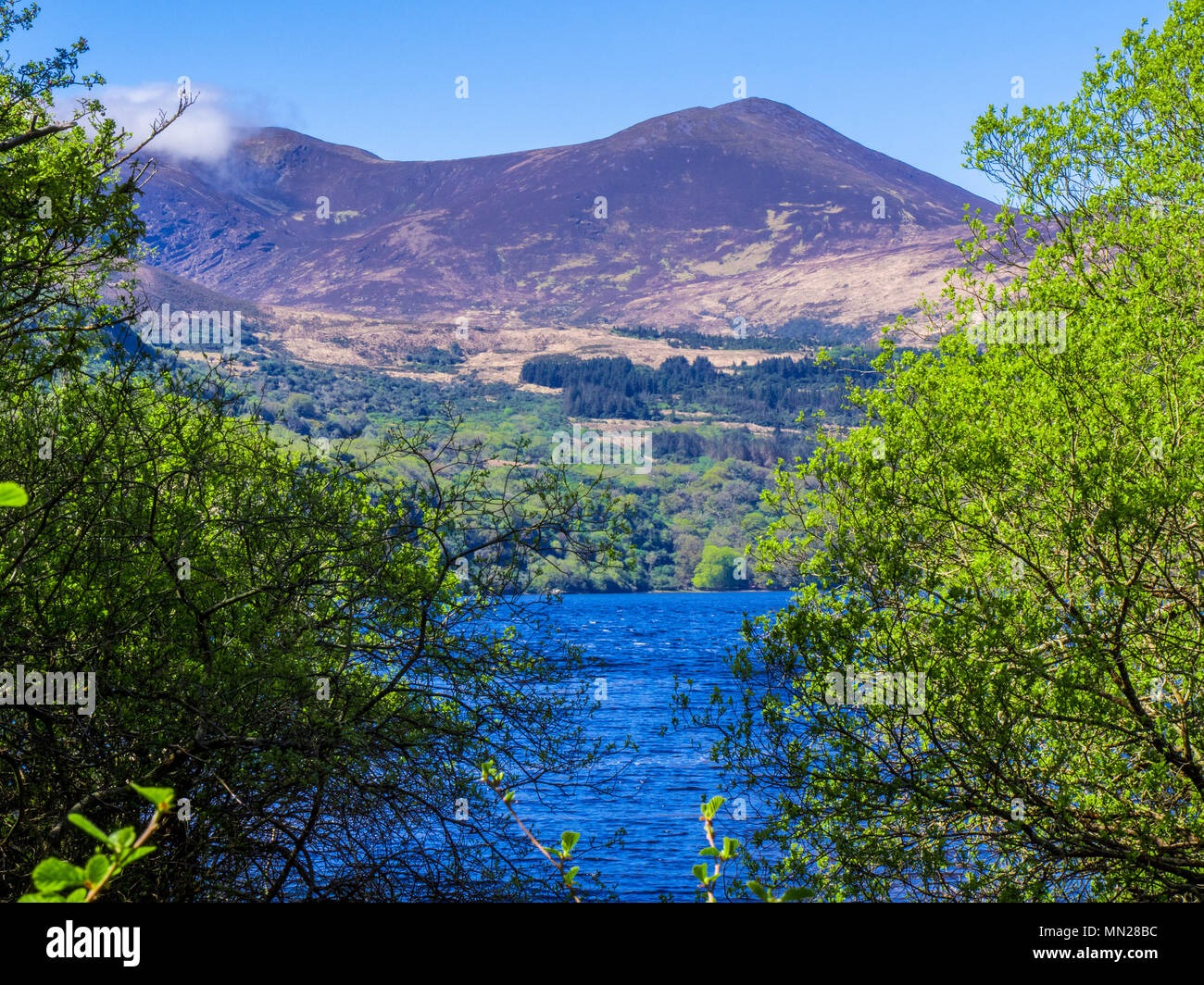 Killarney National Park - a beautiful place in Ireland Stock Photo - Alamy