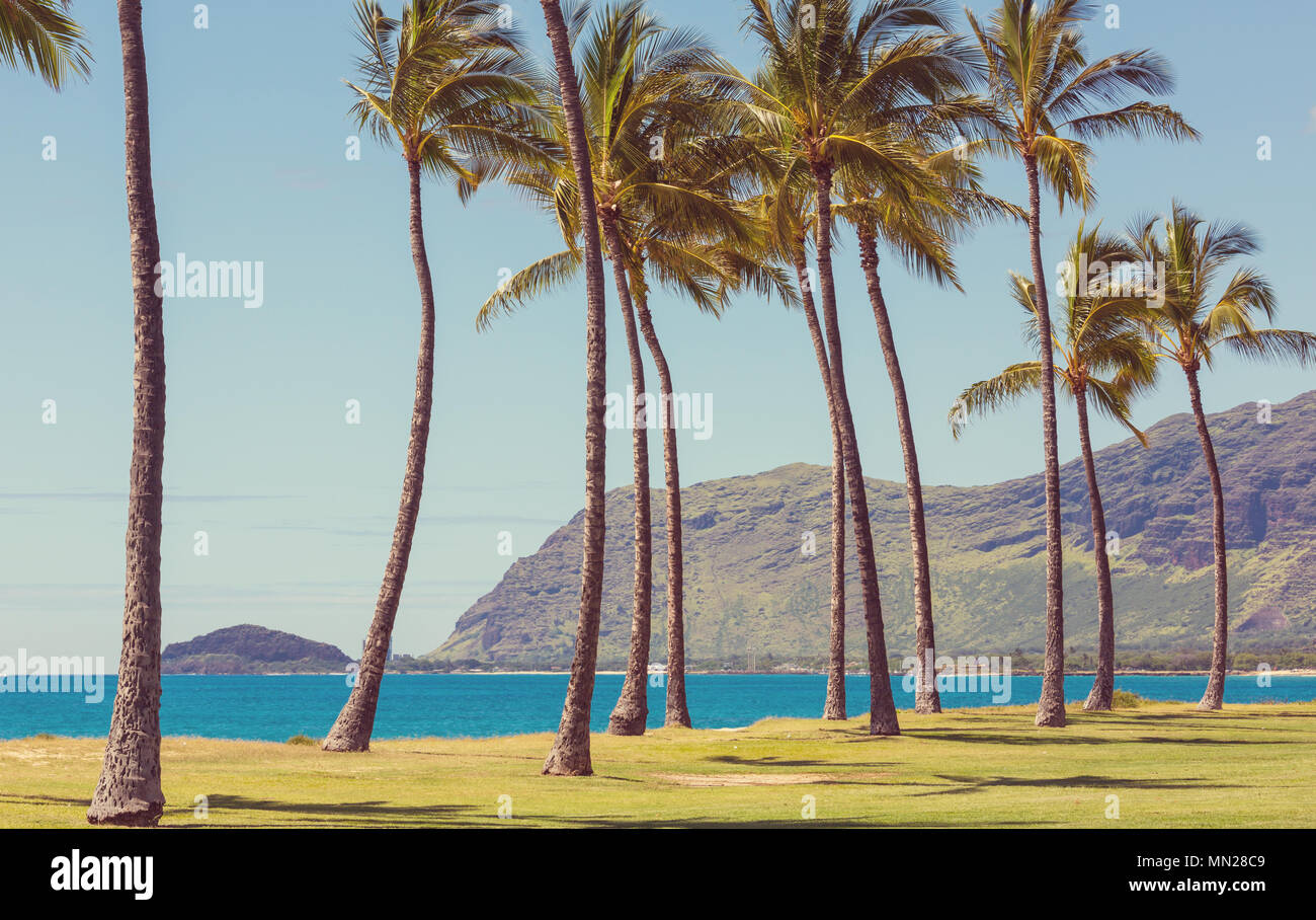Beautiful landscapes in Oahu island, Hawaii Stock Photo - Alamy