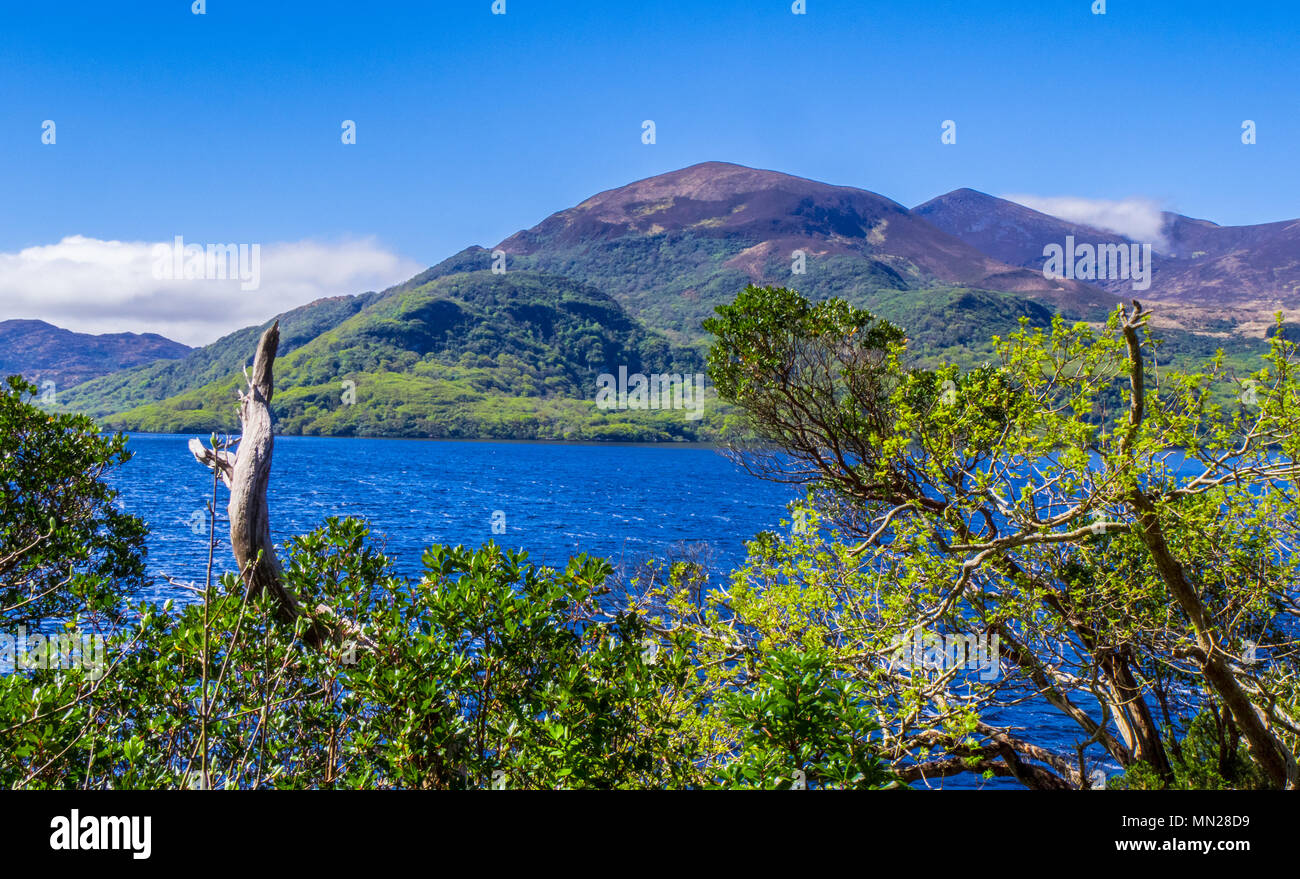 Amazing deep blue lake at Killarney National Park - an idyllic romantic ...