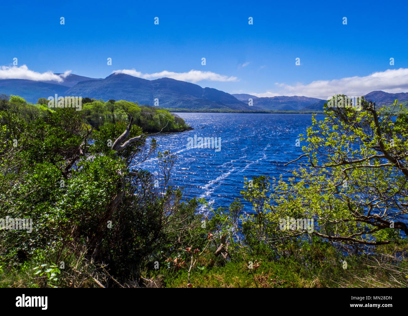 Amazing deep blue lake at Killarney National Park - an idyllic romantic ...