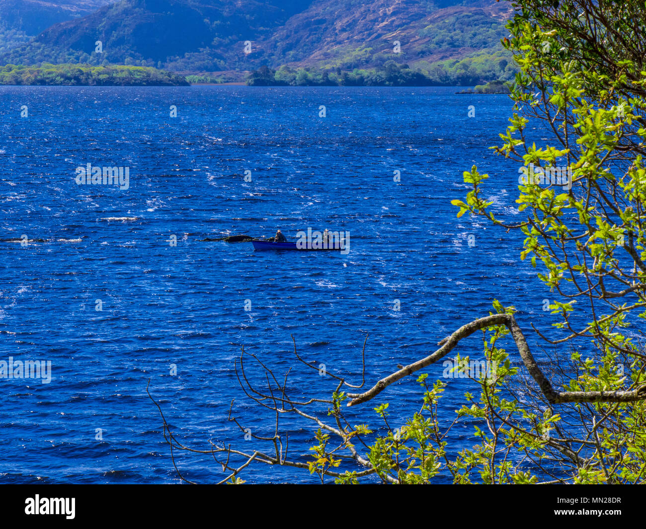 Amazing deep blue lake at Killarney National Park - an idyllic romantic ...