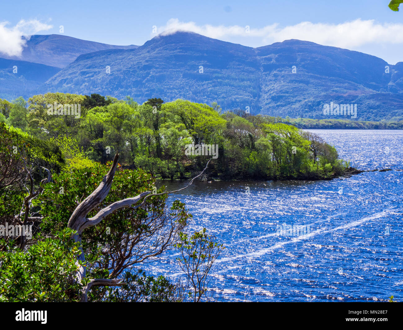 Amazing deep blue lake at Killarney National Park - an idyllic romantic ...
