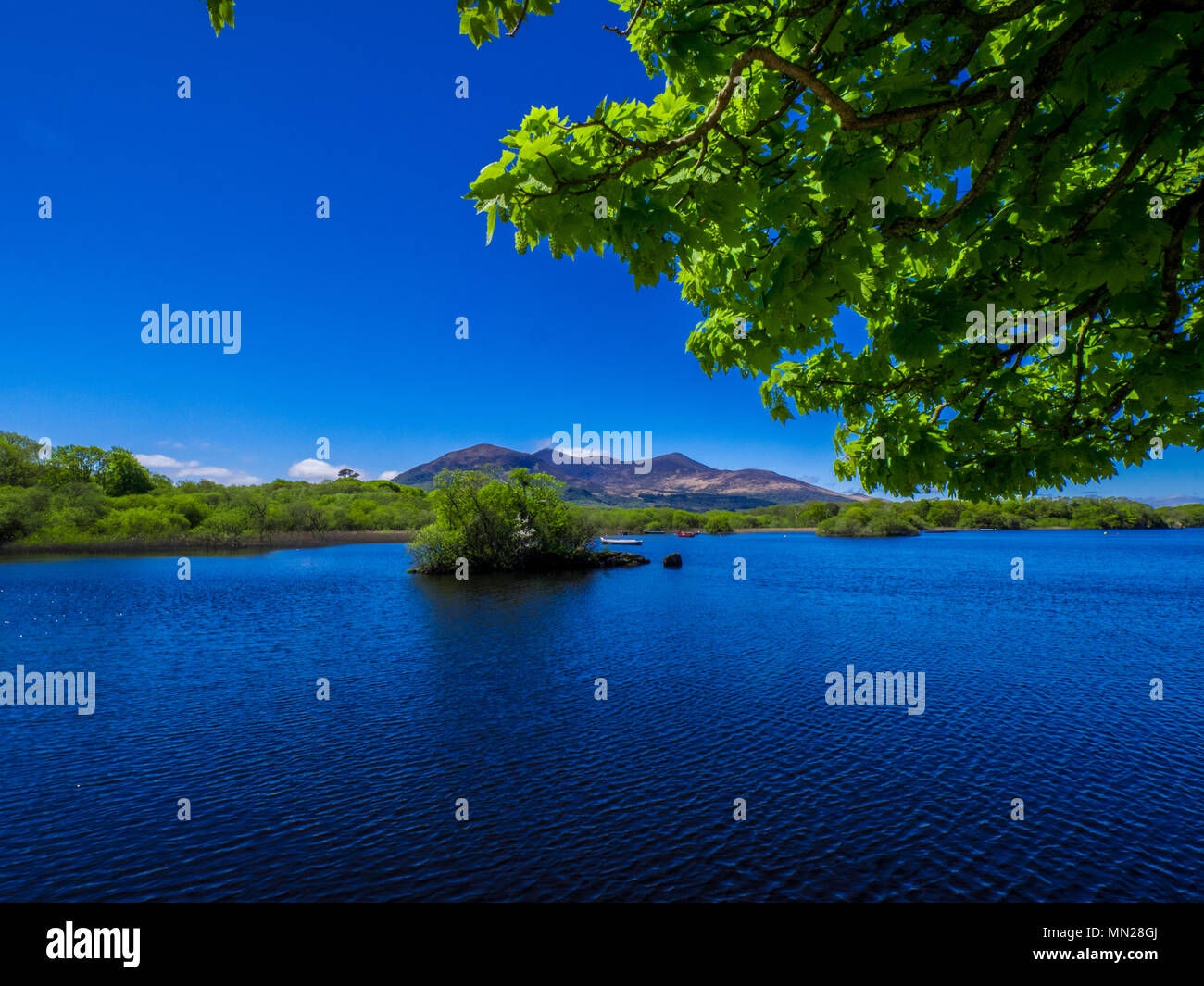 Amazing deep blue lake at Killarney National Park - an idyllic romantic ...