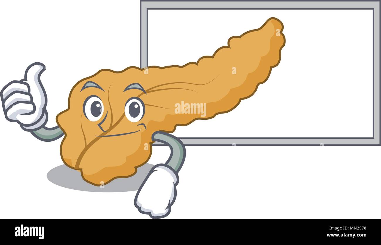 Thumbs up with board pancreas character cartoon style Stock Vector ...