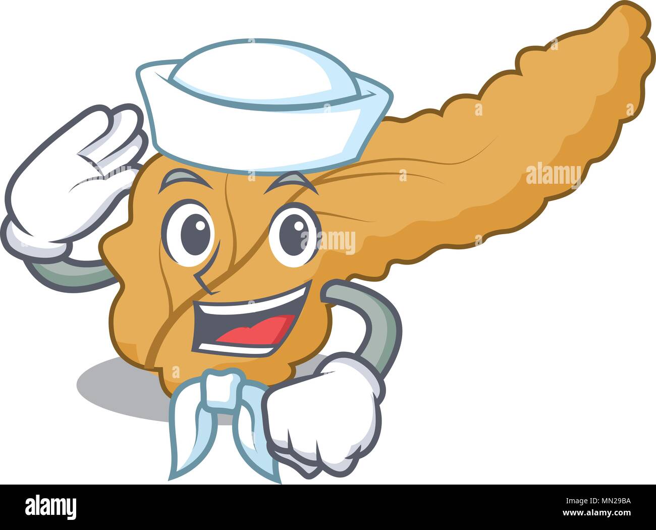 Pancreas diabetes mellitus Stock Vector Images - Alamy