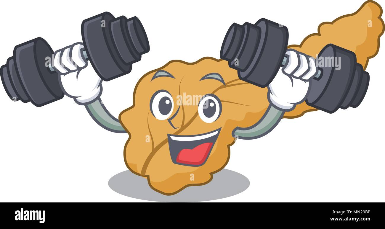 Fitness pancreas character cartoon style Stock Vector Image & Art - Alamy