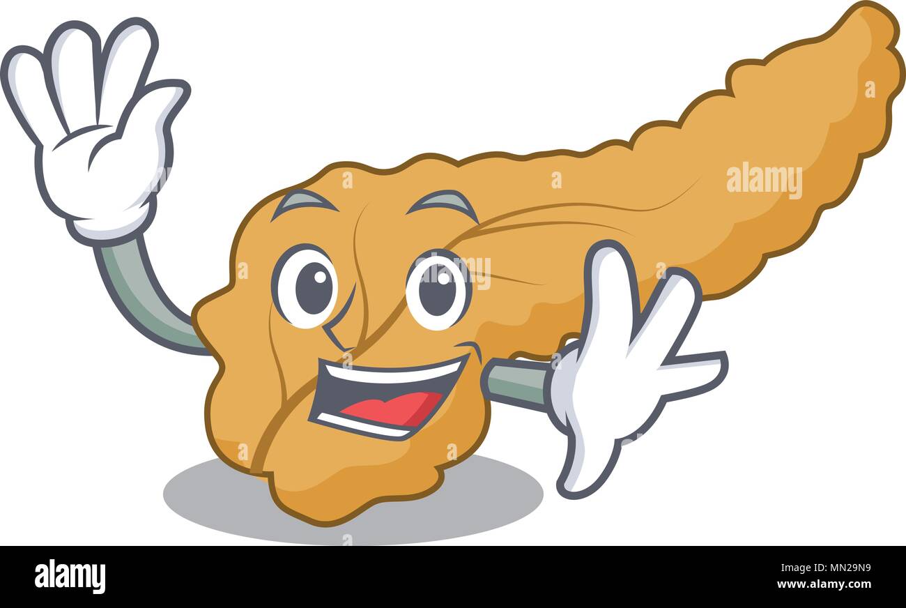 Waving pancreas character cartoon style Stock Vector Image & Art - Alamy