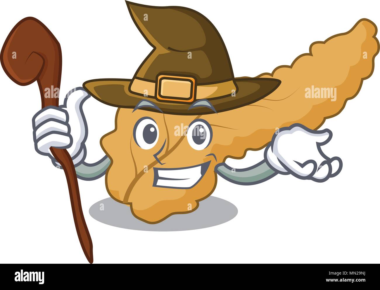 Witch pancreas mascot cartoon style Stock Vector Image & Art - Alamy