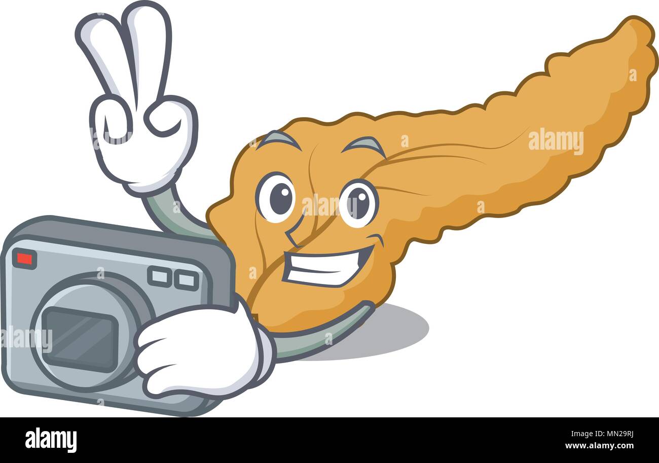 Photographer pancreas mascot cartoon style Stock Vector Image & Art - Alamy