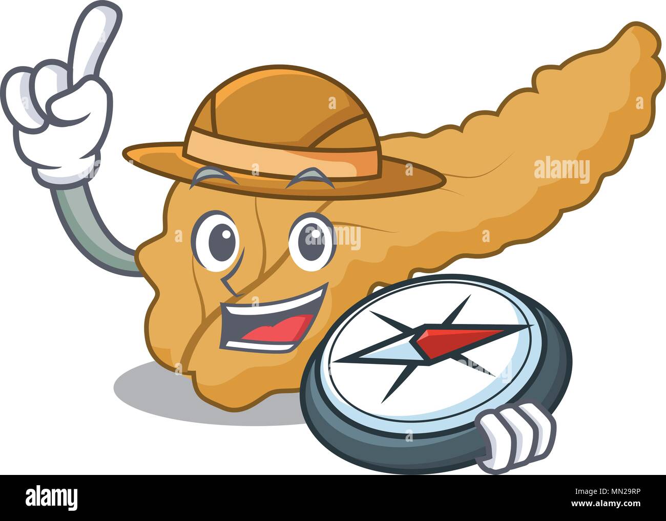 Explorer pancreas mascot cartoon style Stock Vector Image & Art - Alamy