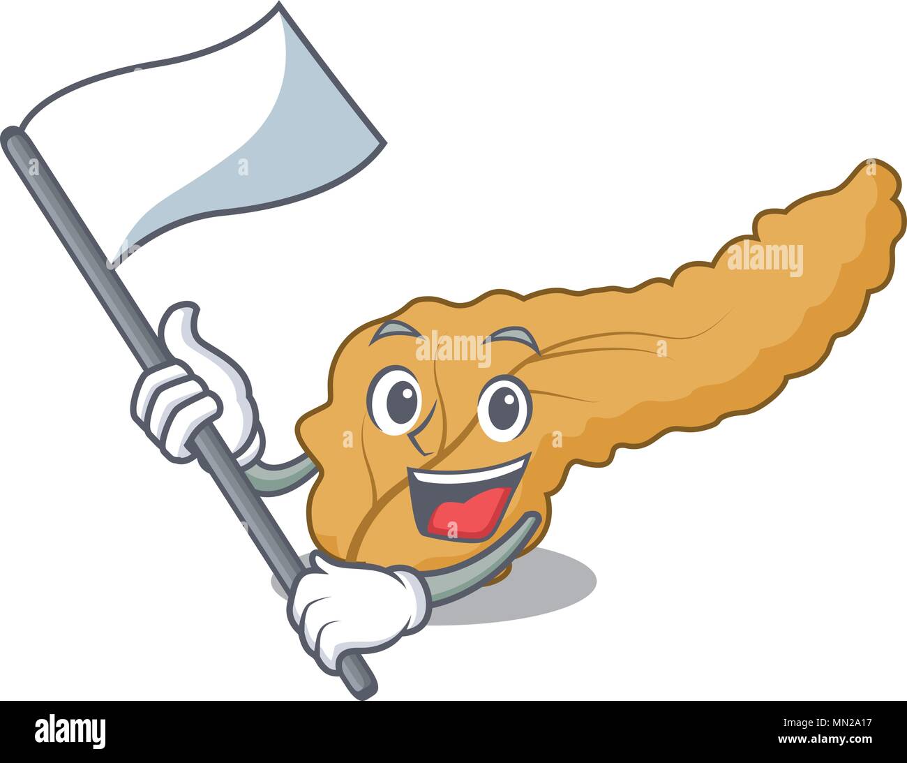 With flag pancreas mascot cartoon style Stock Vector Image & Art - Alamy