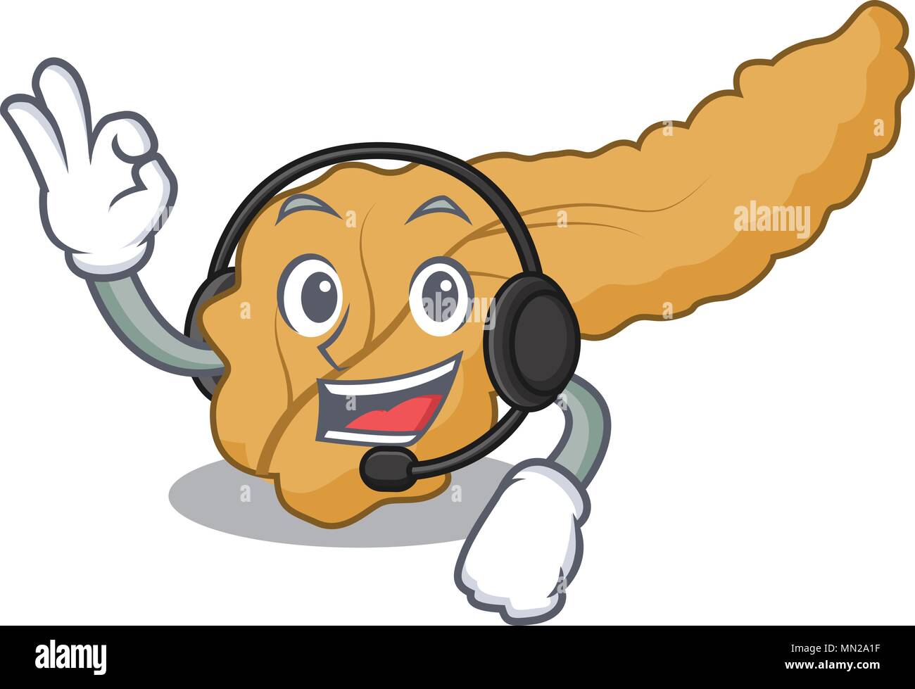 How does the pancreas work hi-res stock photography and images - Alamy