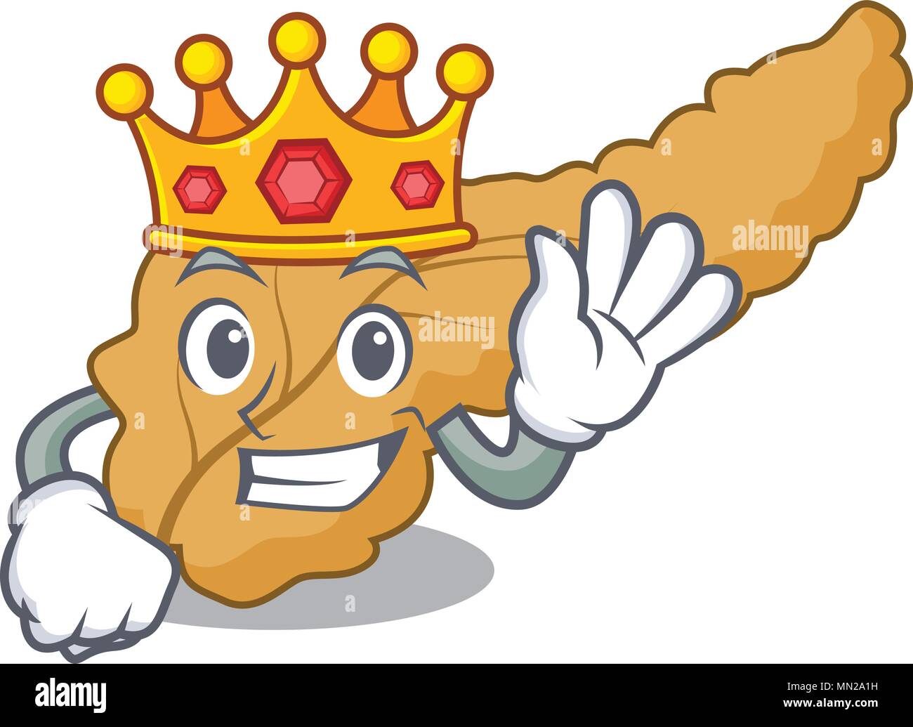King pancreas mascot cartoon style Stock Vector Image & Art - Alamy