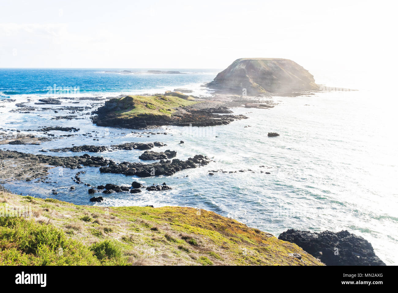 Round island with green field shined by sun at the Nobbies at Phillip ...