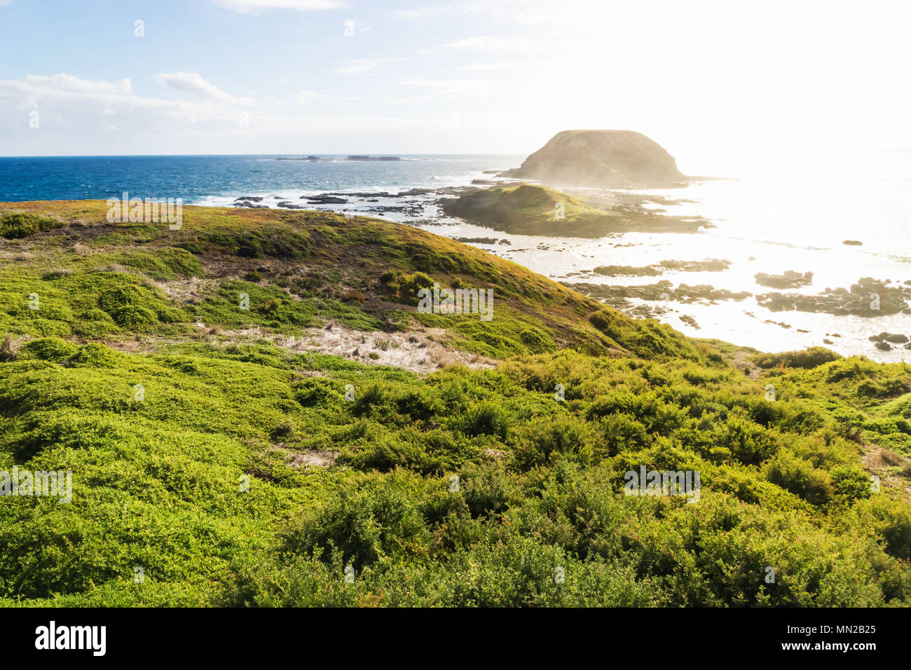 Round island shined by sun at the Nobbies at Phillip Island, Victoria ...