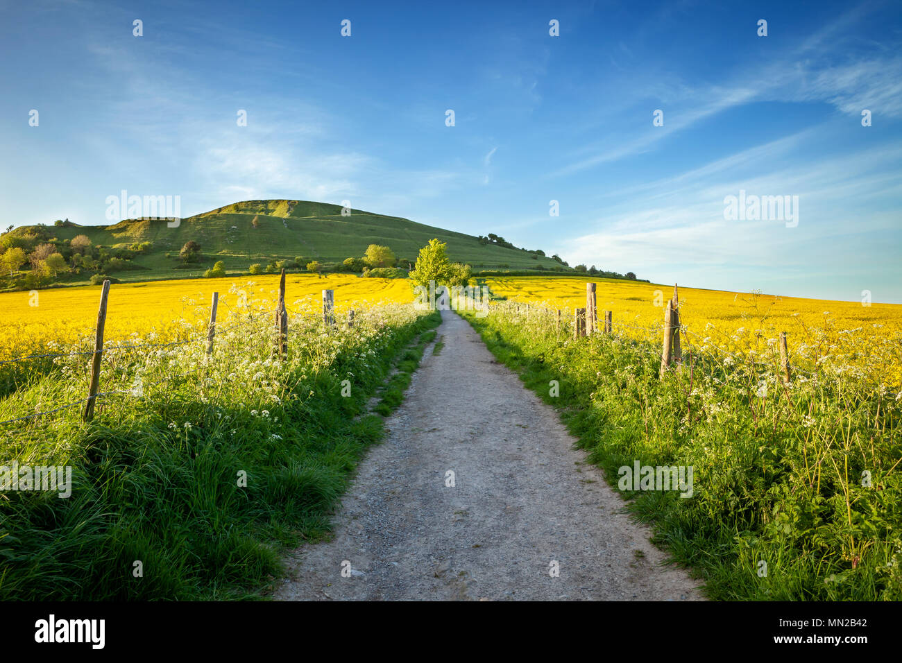 Warminster wiltshire hi-res stock photography and images - Alamy