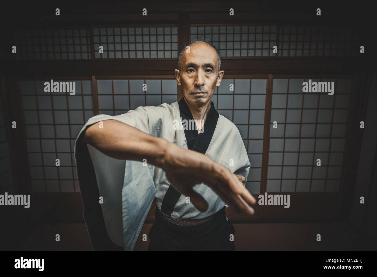 Wingchun hi-res stock photography and images - Alamy