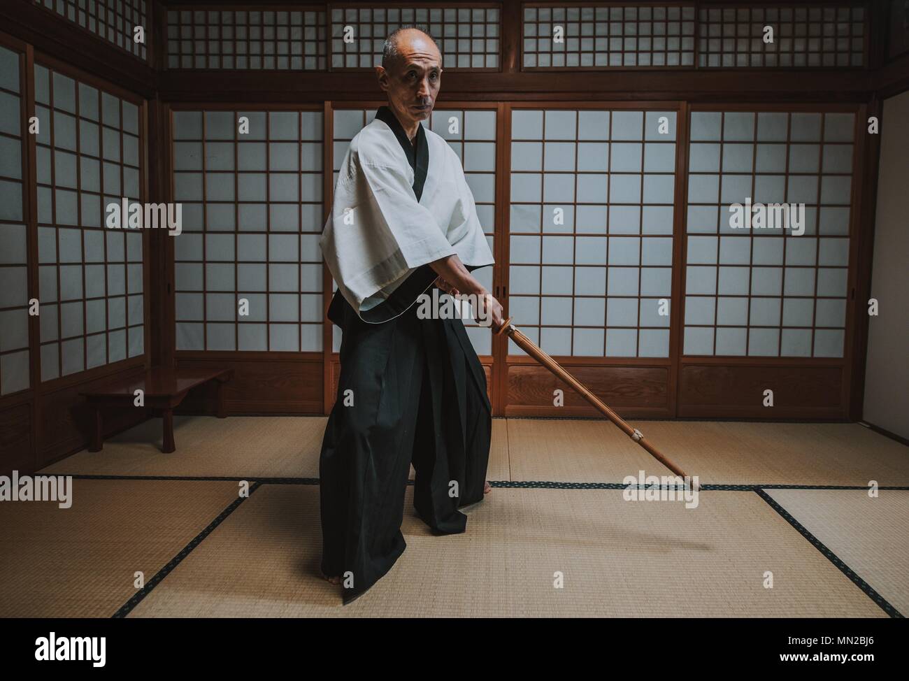 Senior martial art master in his dojo Stock Photo - Alamy