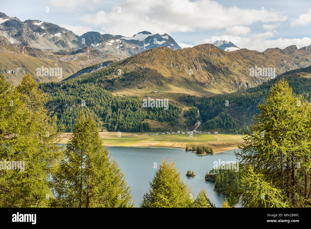 Summer landscape, Lake Sils, Upper Engadin, Switzerland Stock Photo - Alamy