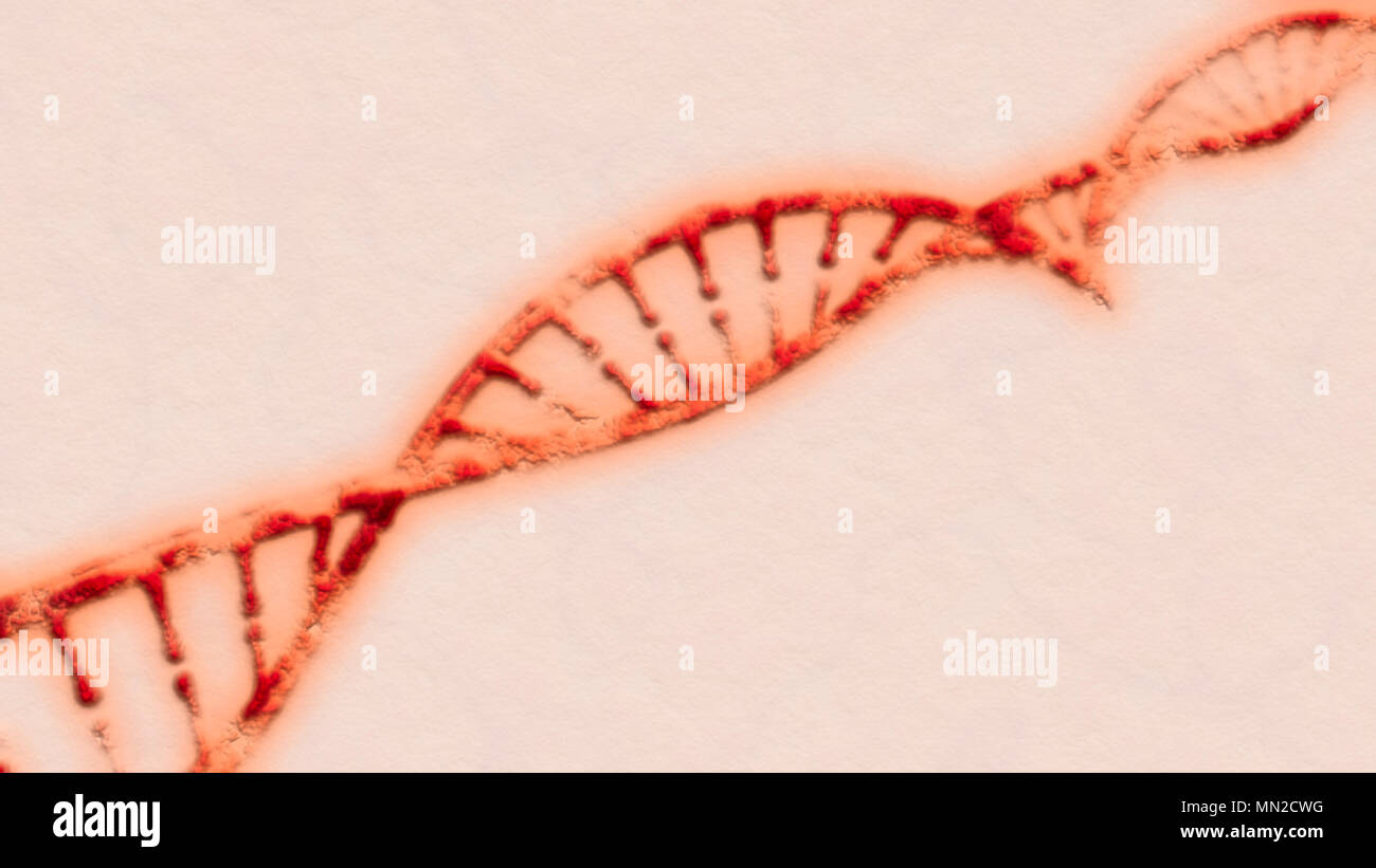 DNA, Deoxyribonucleic acid is a thread-like chain of nucleotides ...