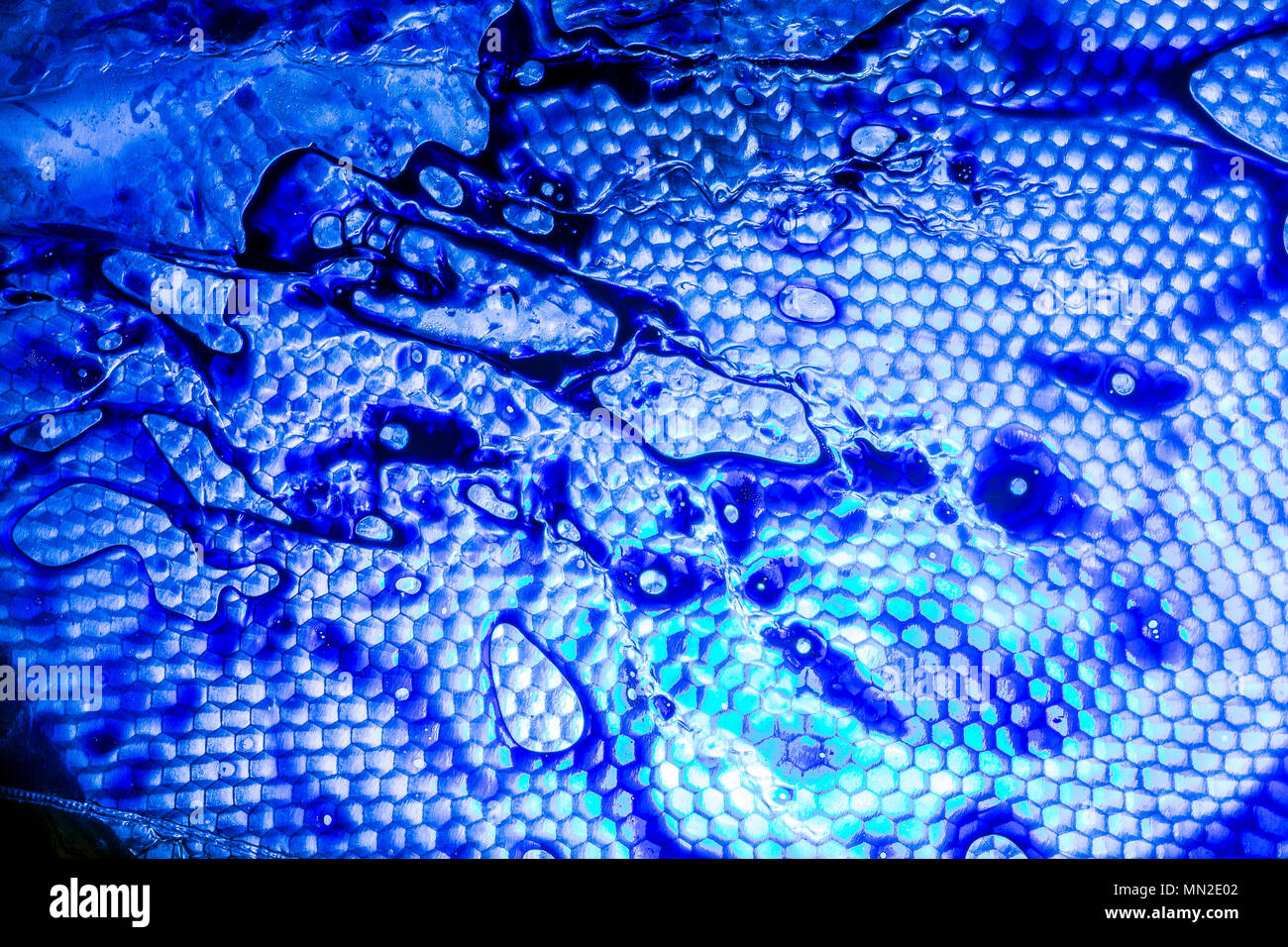 cavities or tunnels.compartment, cavity, hole, hollow, bay, chamber ...