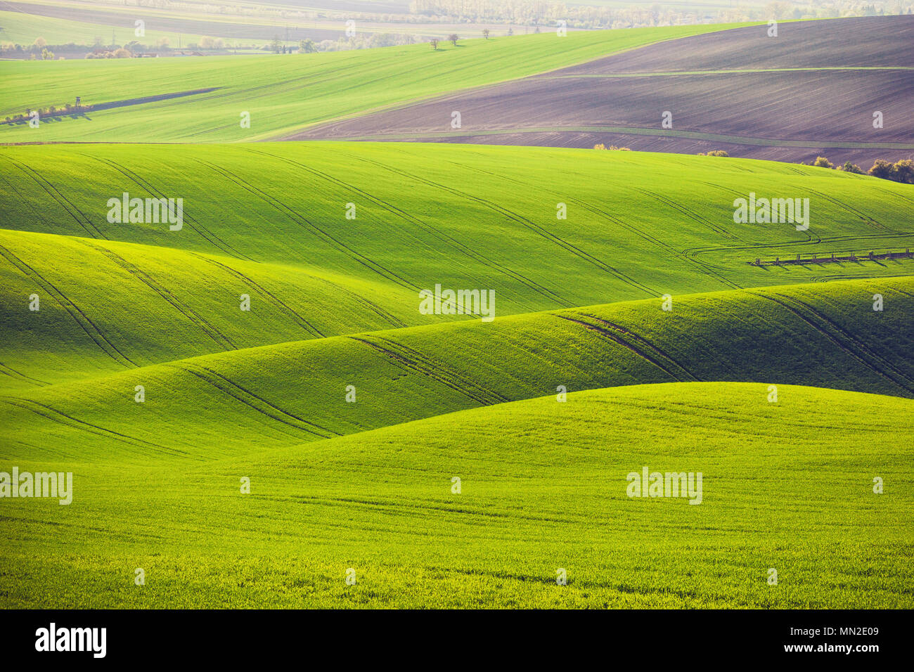 sunset lines and waves in the spring Stock Photo - Alamy