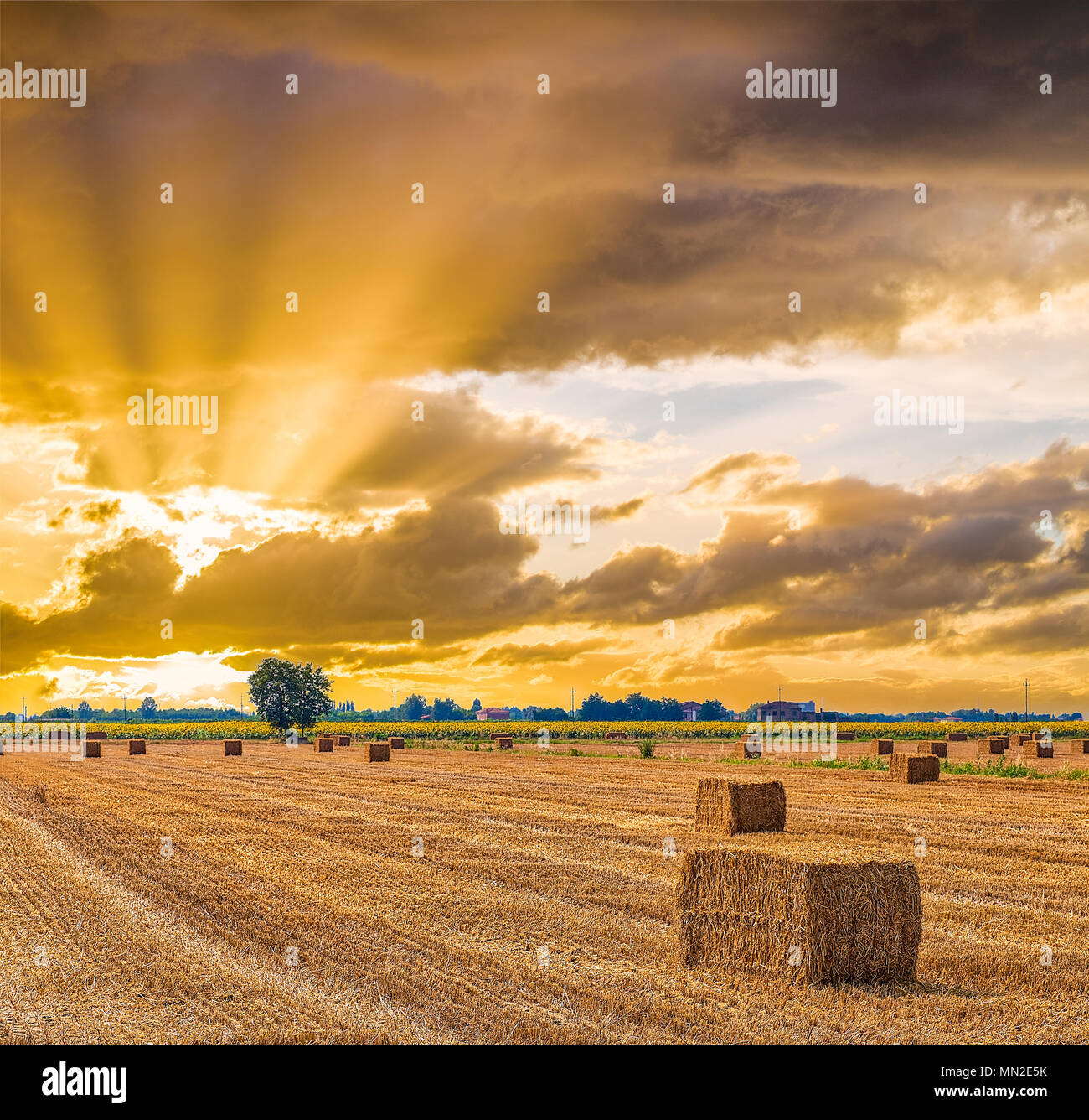 Country and fields hi-res stock photography and images - Alamy