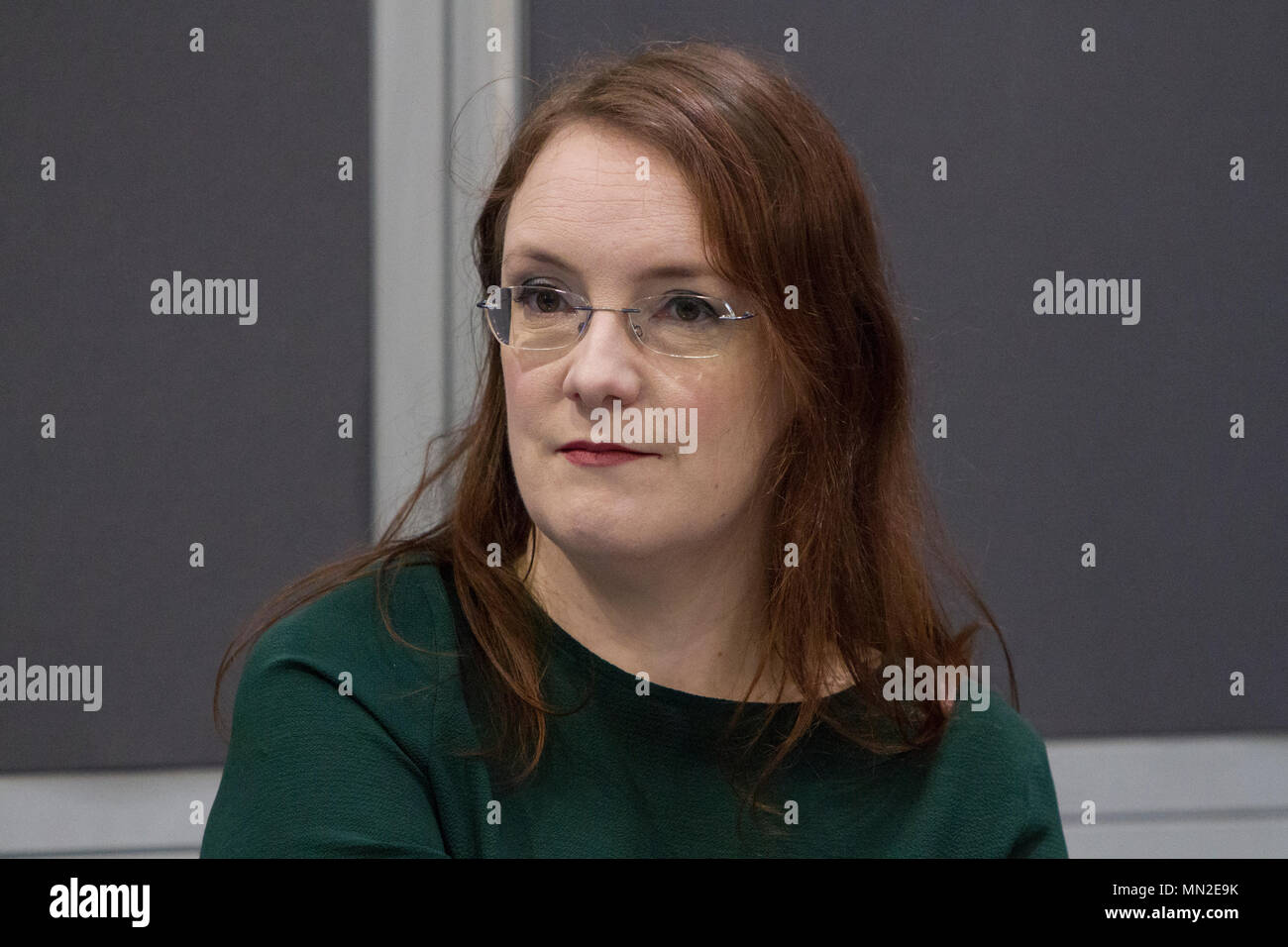 Lisa mcinerney writer hi-res stock photography and images - Alamy