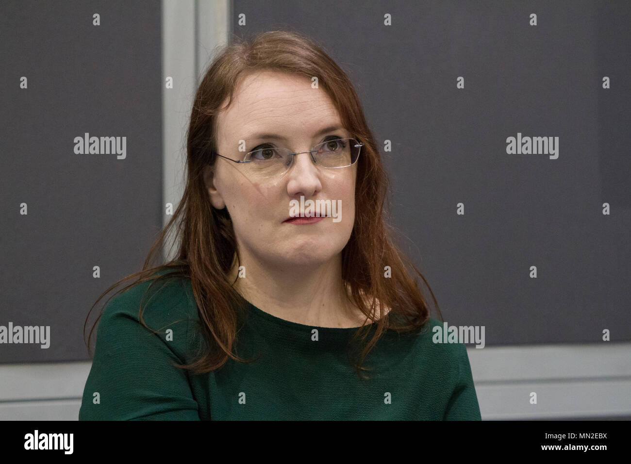 Lisa mcinerney writer hi-res stock photography and images - Alamy