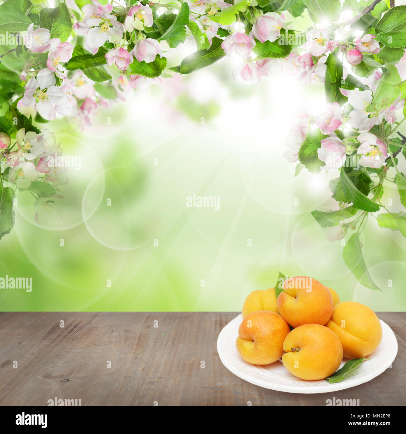 Grey background soft light green background hi-res stock photography ...