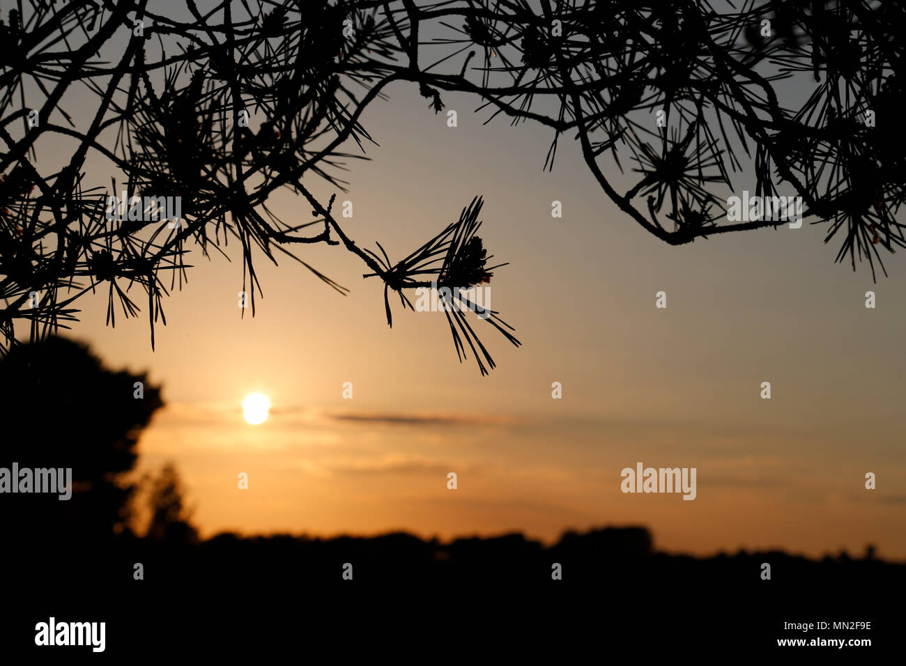 Silhouette orange sky england hi-res stock photography and images - Alamy