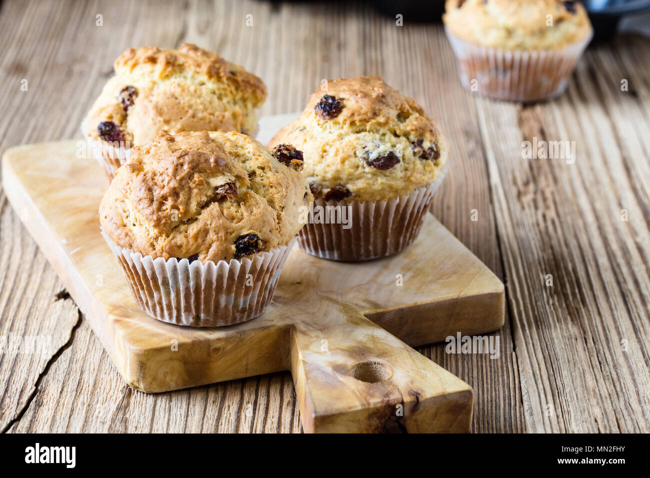 Breakfast cornmeal muffins with raisins, traditional american home ...