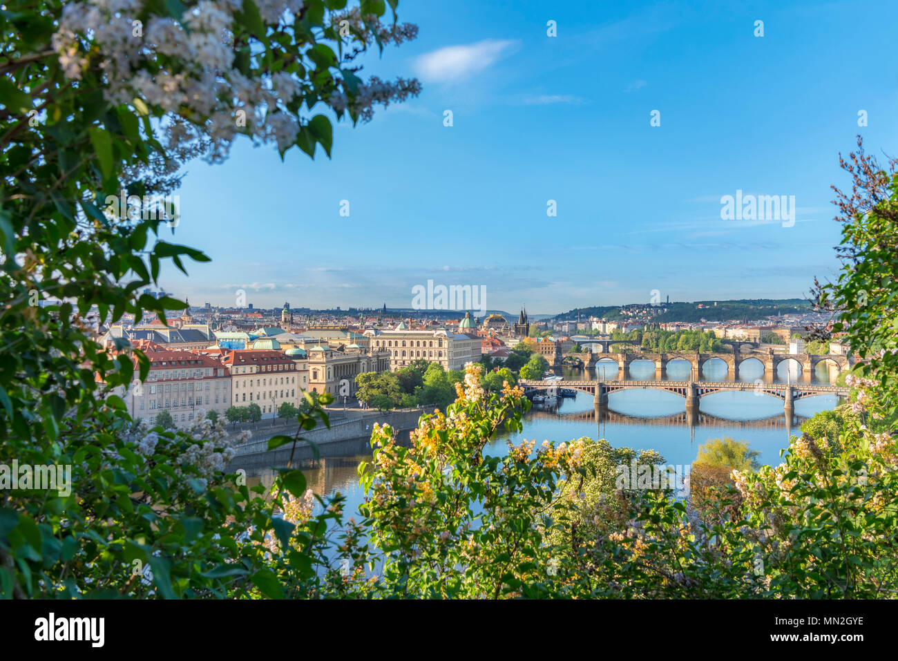 Prague spring flowers hi-res stock photography and images - Alamy