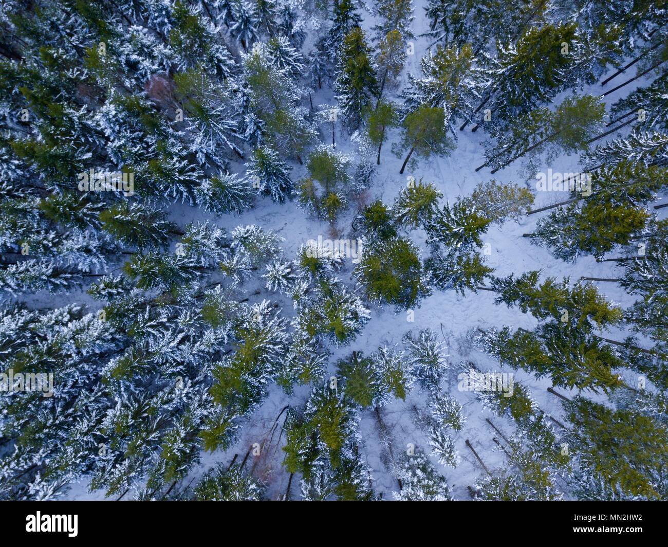 Skane sweden lake hi-res stock photography and images - Alamy