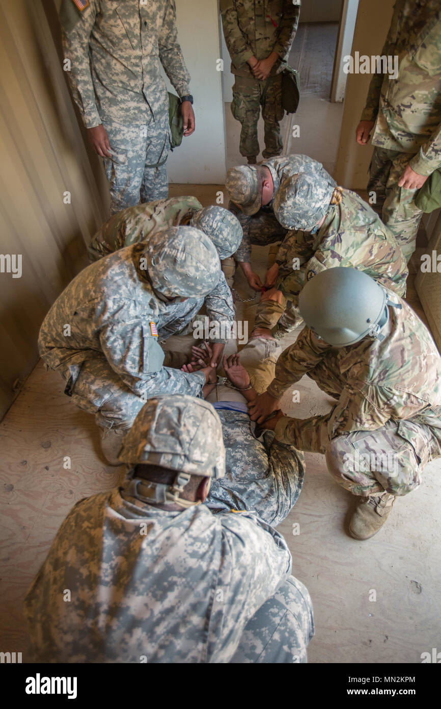 Cell extraction hi-res stock photography and images - Alamy