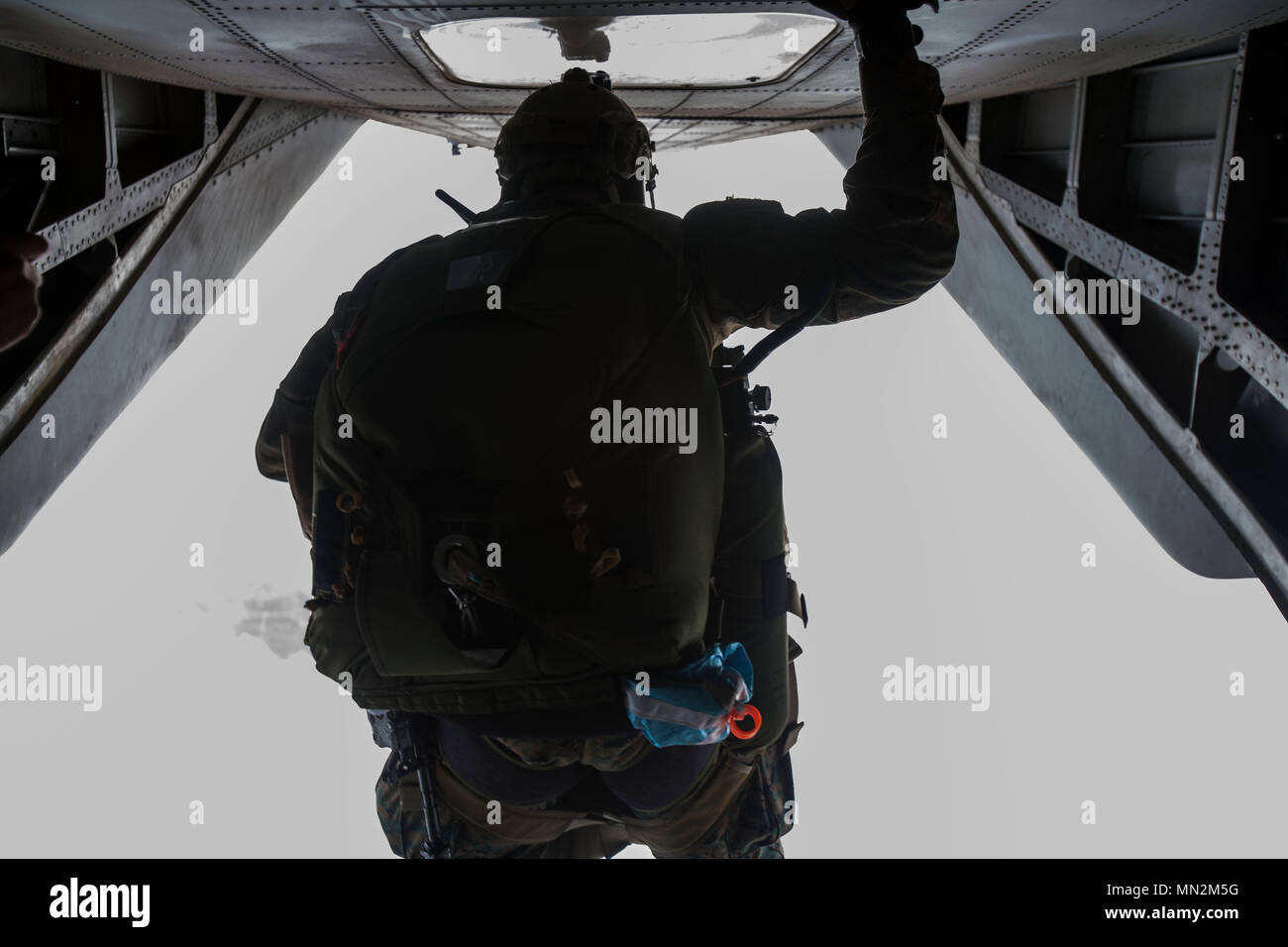 Savannah mesimer hi-res stock photography and images - Alamy