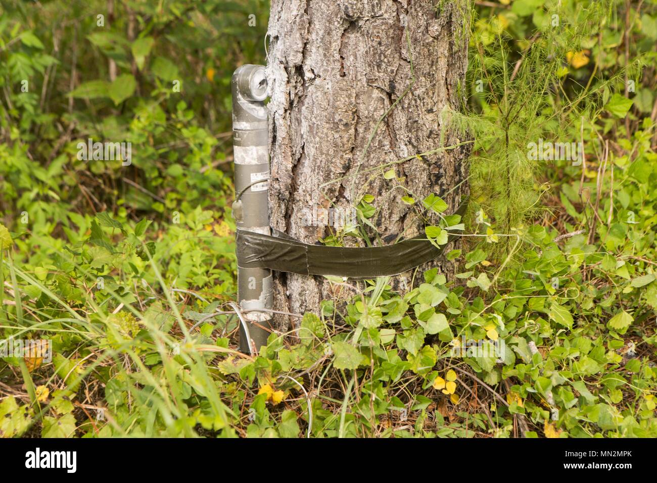 Marines conduct counter improvised explosive device training at Camp ...