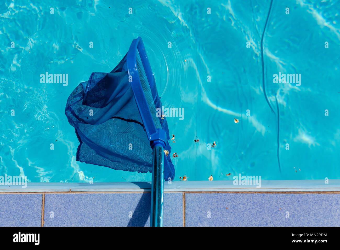 Swimming pool blue cleaning tool and water with ripples. Trash in pool ...