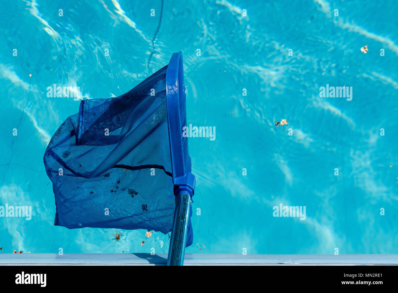 Swimming pool blue cleaning tool and water with ripples Stock Photo - Alamy