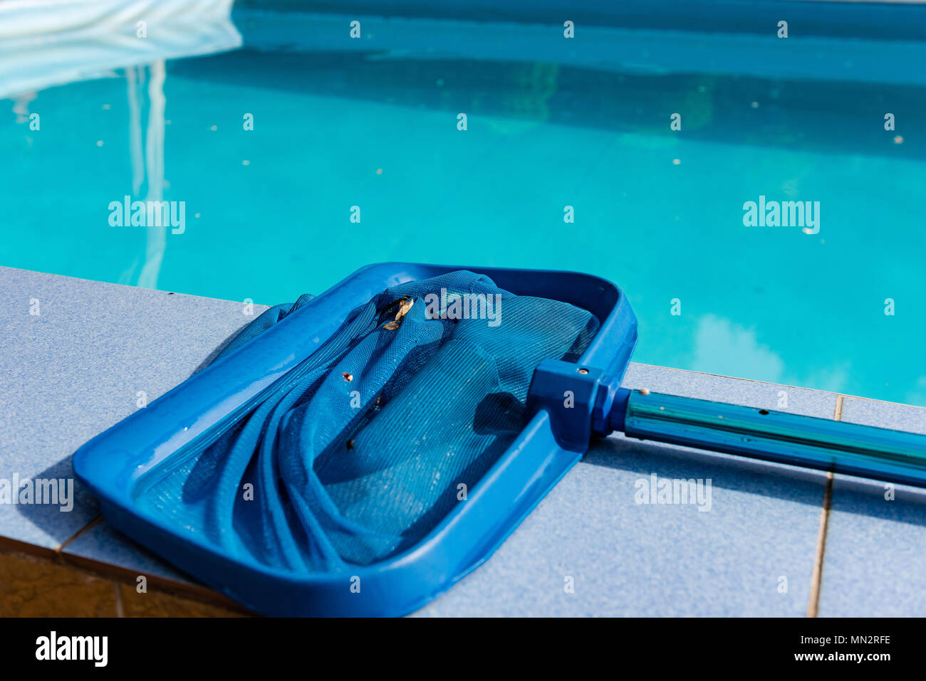 Pool cleaning tool hi-res stock photography and images - Alamy