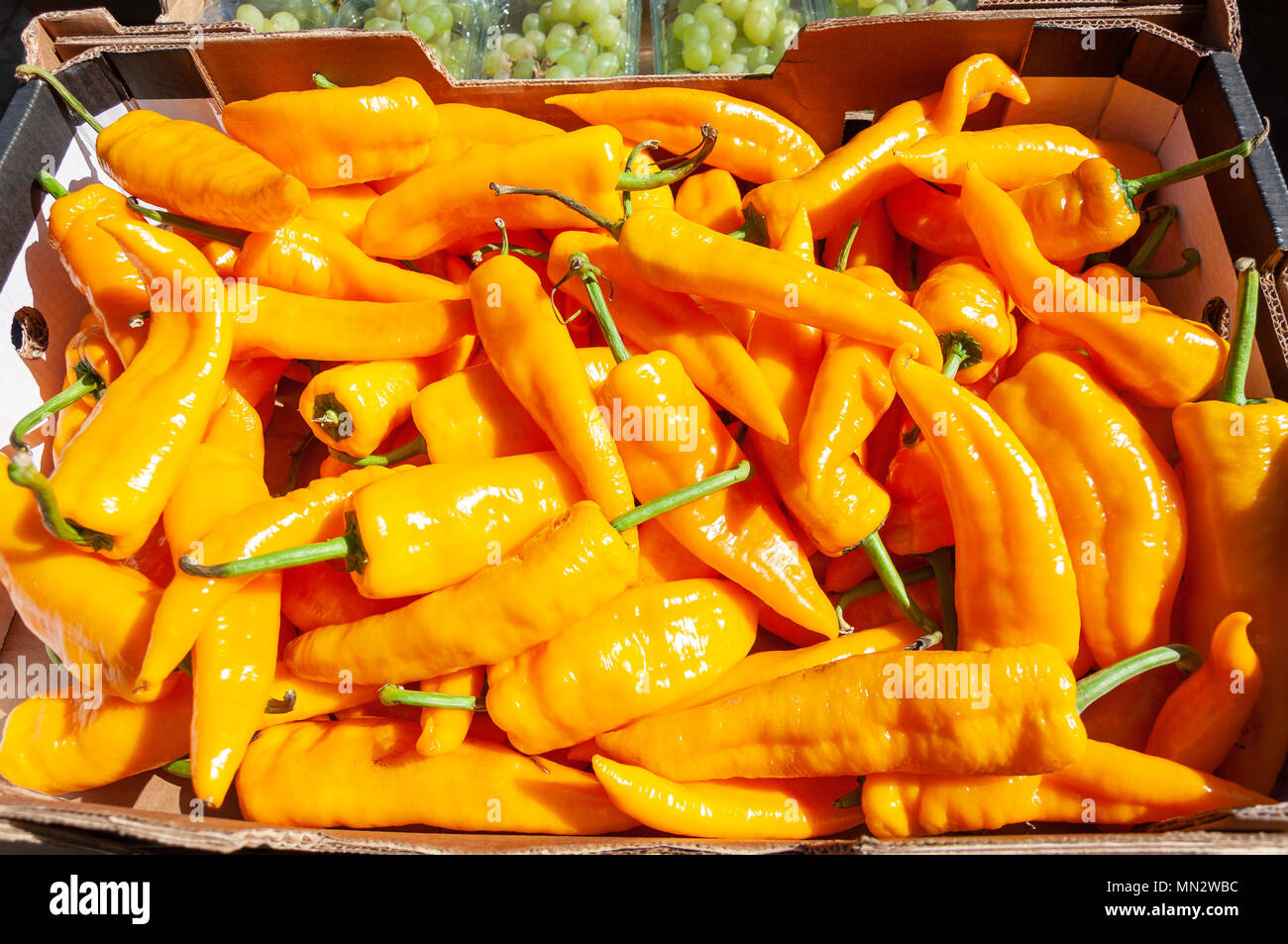 Orange Romano sweet peppers in market stall, High Street, Staines-upon ...